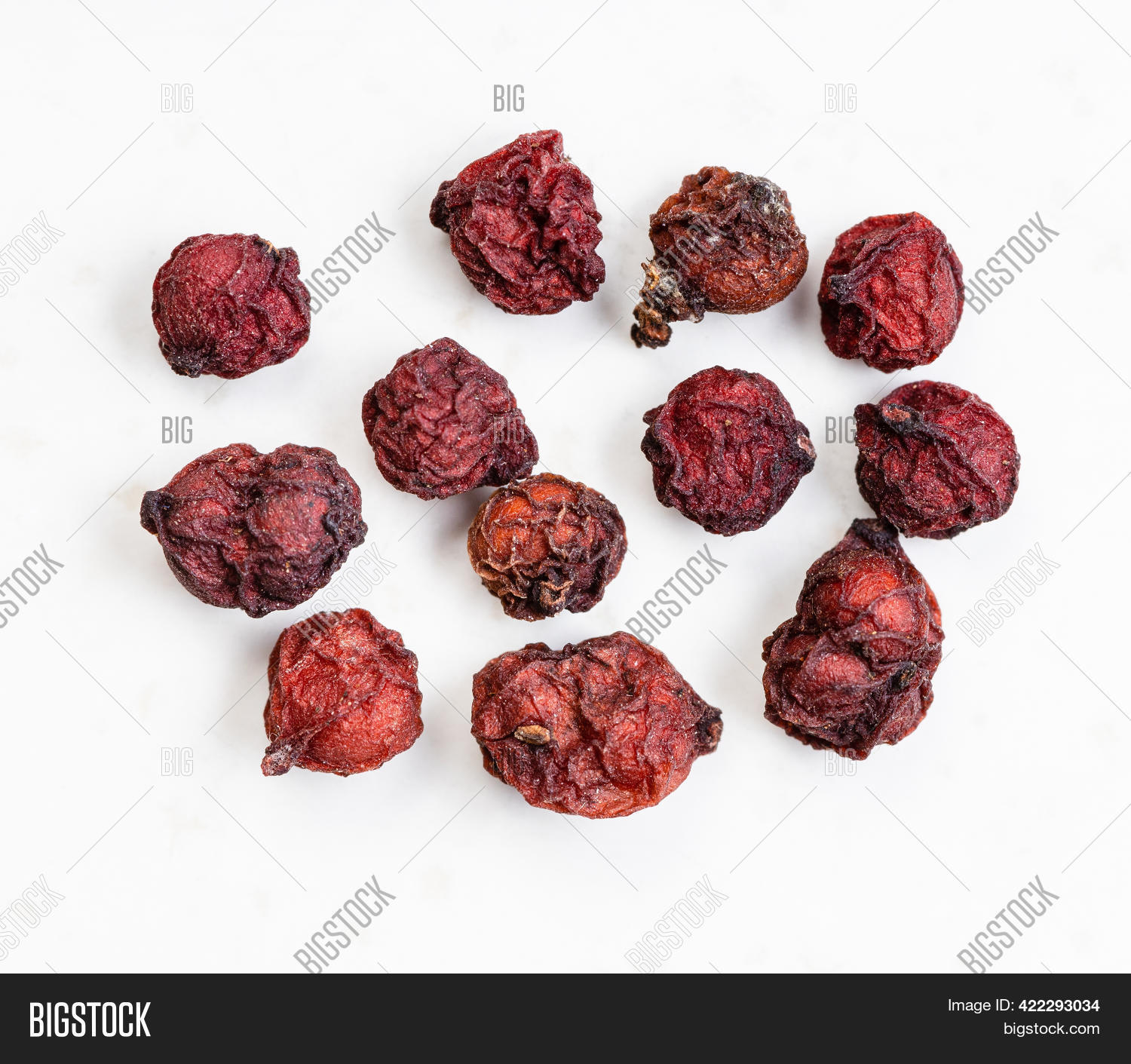 Few Dried Magnolia Image & Photo (Free Trial) | Bigstock