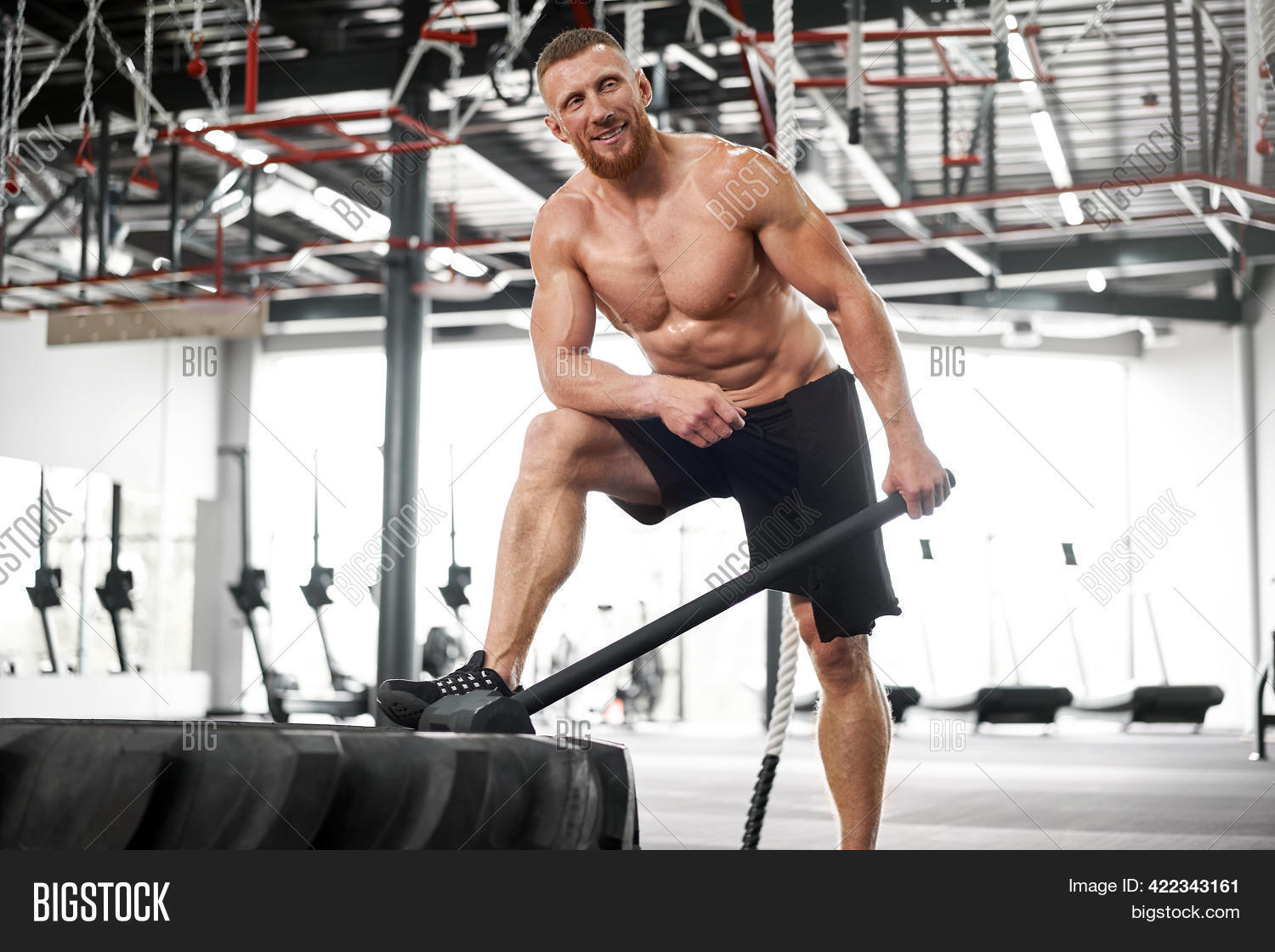 Man Gym Hammer Hit Image & Photo (Free Trial) | Bigstock
