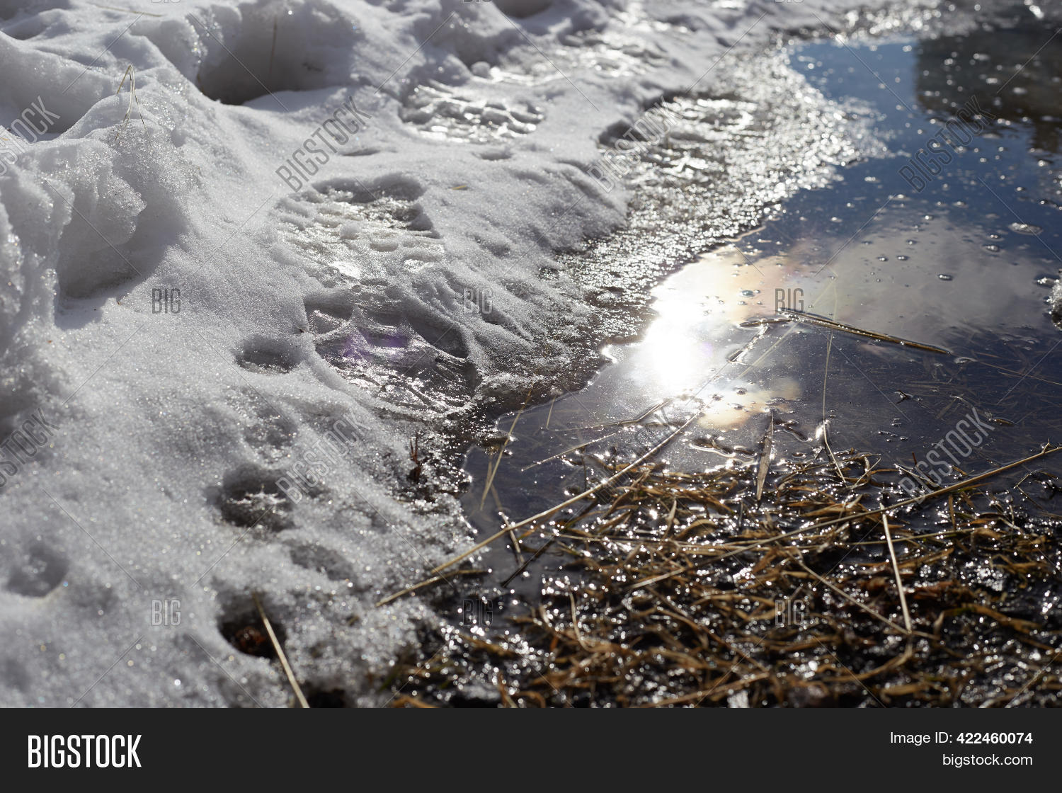 Spring Puddles, Snow Image & Photo (Free Trial) | Bigstock