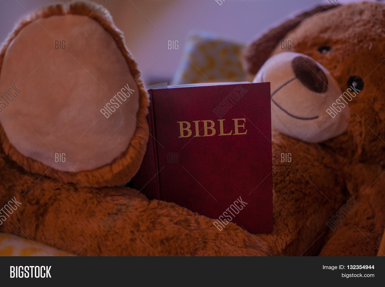 Teddy Bear Reading Image & Photo (Free Trial) | Bigstock