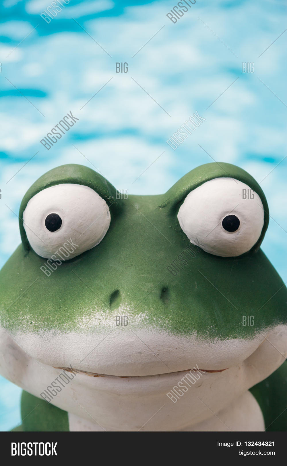 Frog Eye View Front Image & Photo (Free Trial) | Bigstock