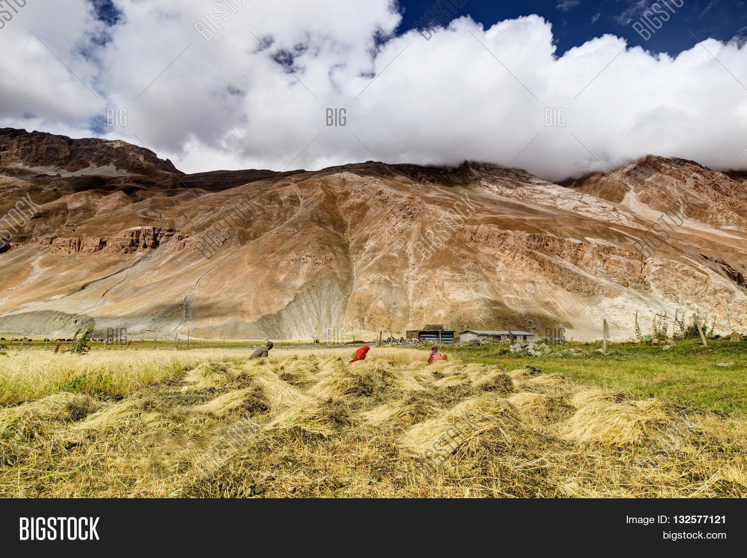 Sceneic View Drass Image & Photo (Free Trial) | Bigstock
