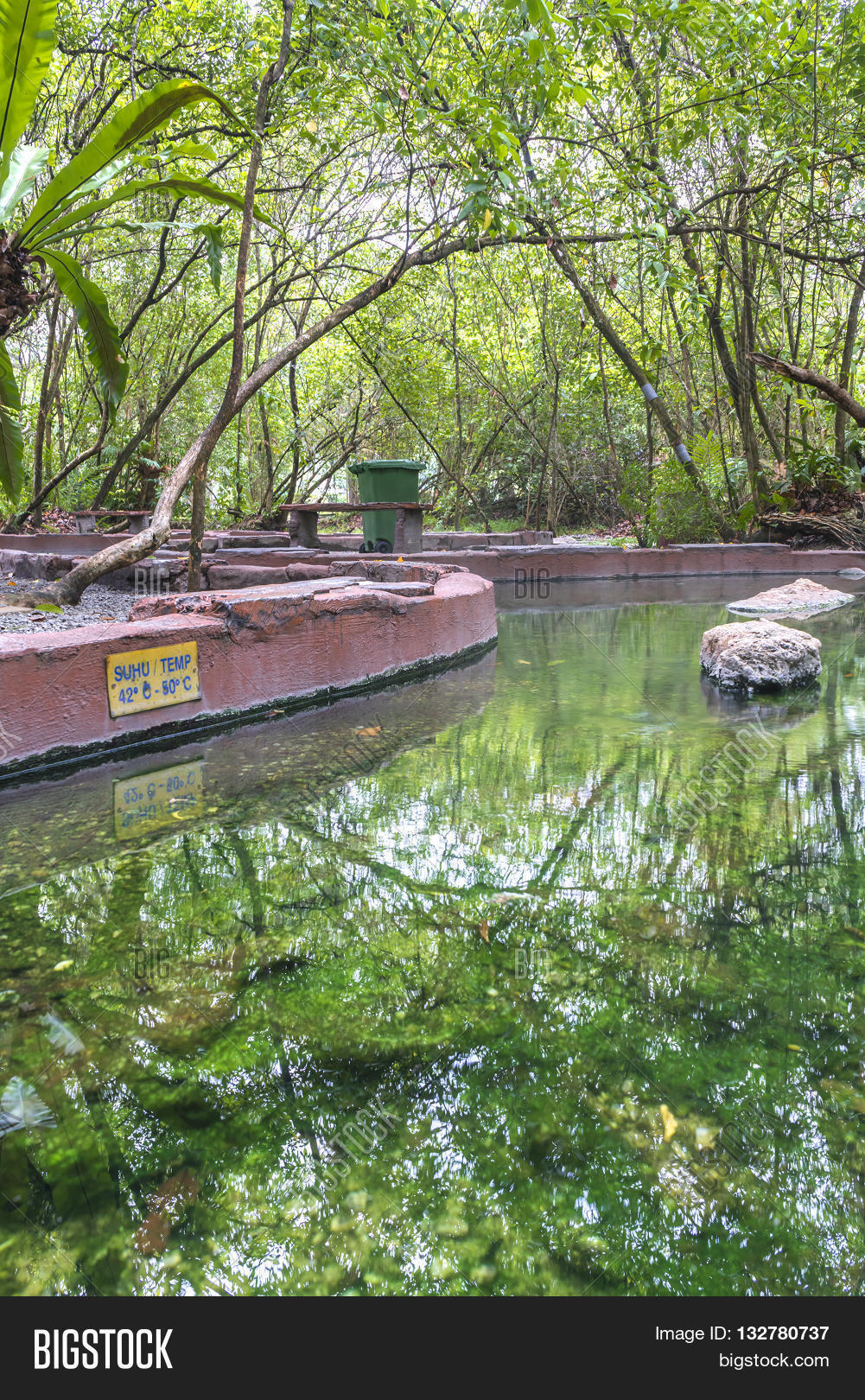 Hot Spring Green Tree Image & Photo (Free Trial) | Bigstock