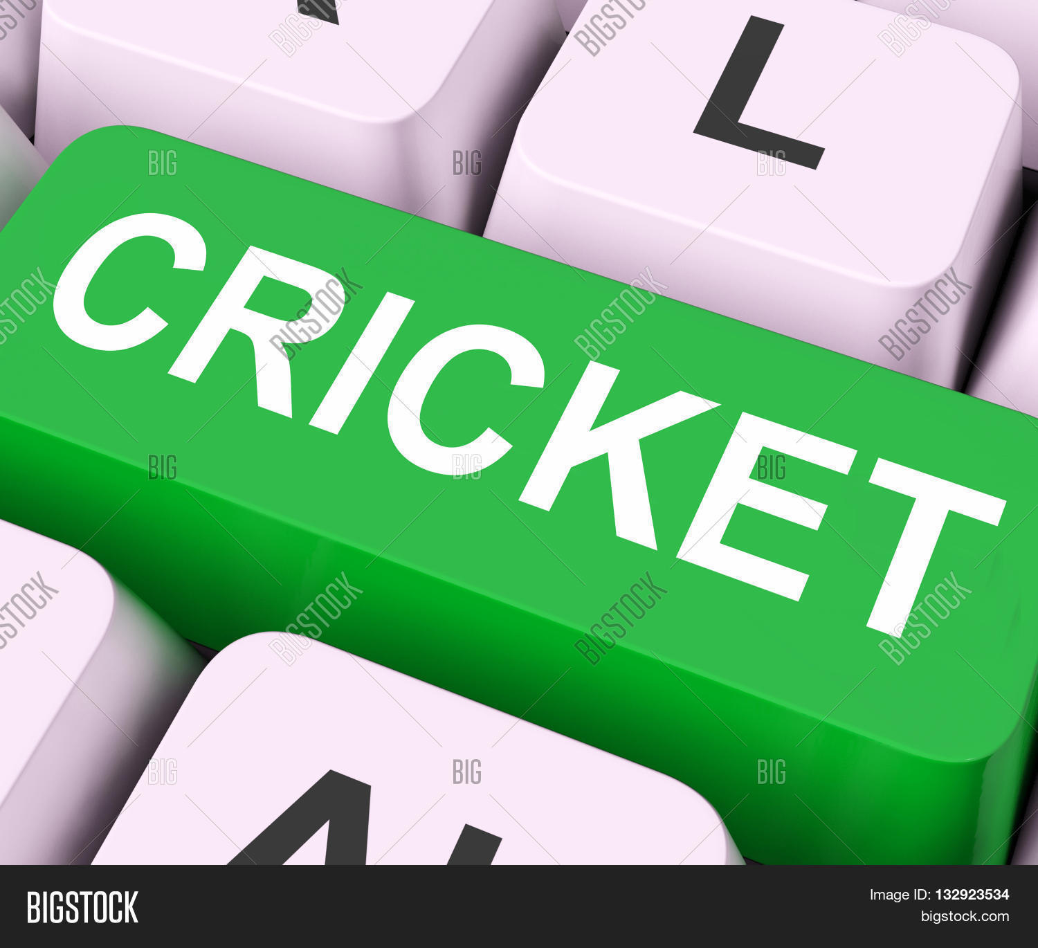 Cricket Key Means Image & Photo (Free Trial) | Bigstock