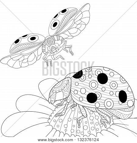 Zentangle Stylized Vector & Photo (Free Trial) | Bigstock
