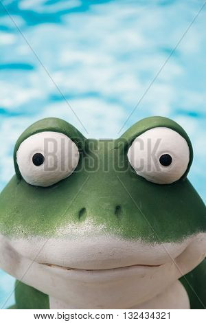 Frog Eye View Front Image & Photo (Free Trial) | Bigstock
