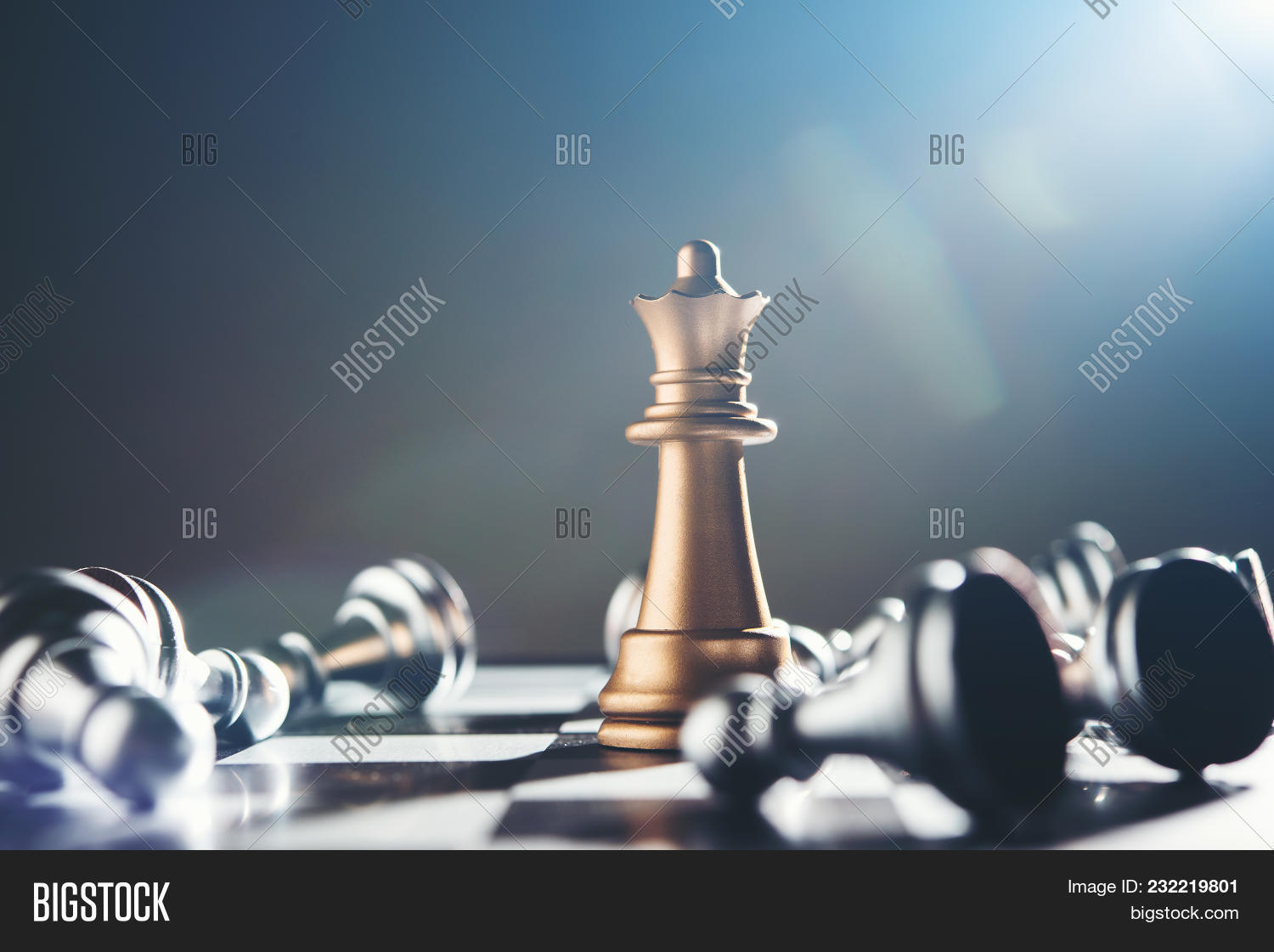 King Knight Chess Image & Photo (Free Trial) | Bigstock