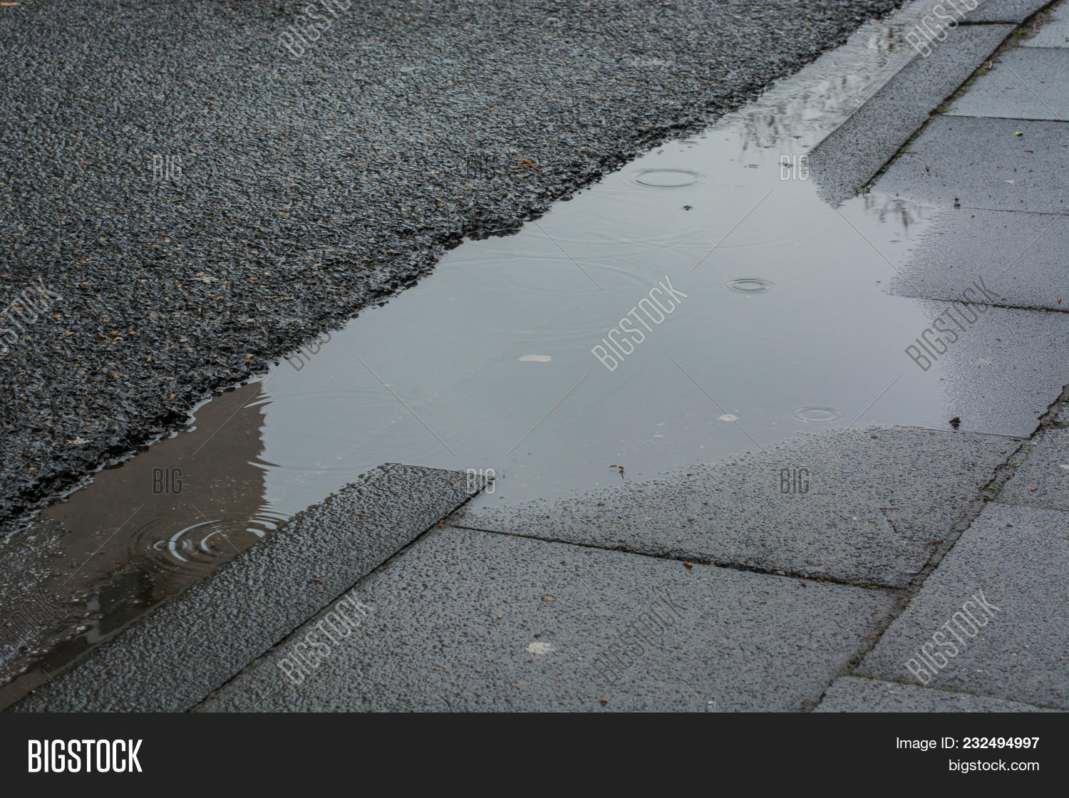 Rain Puddle Street