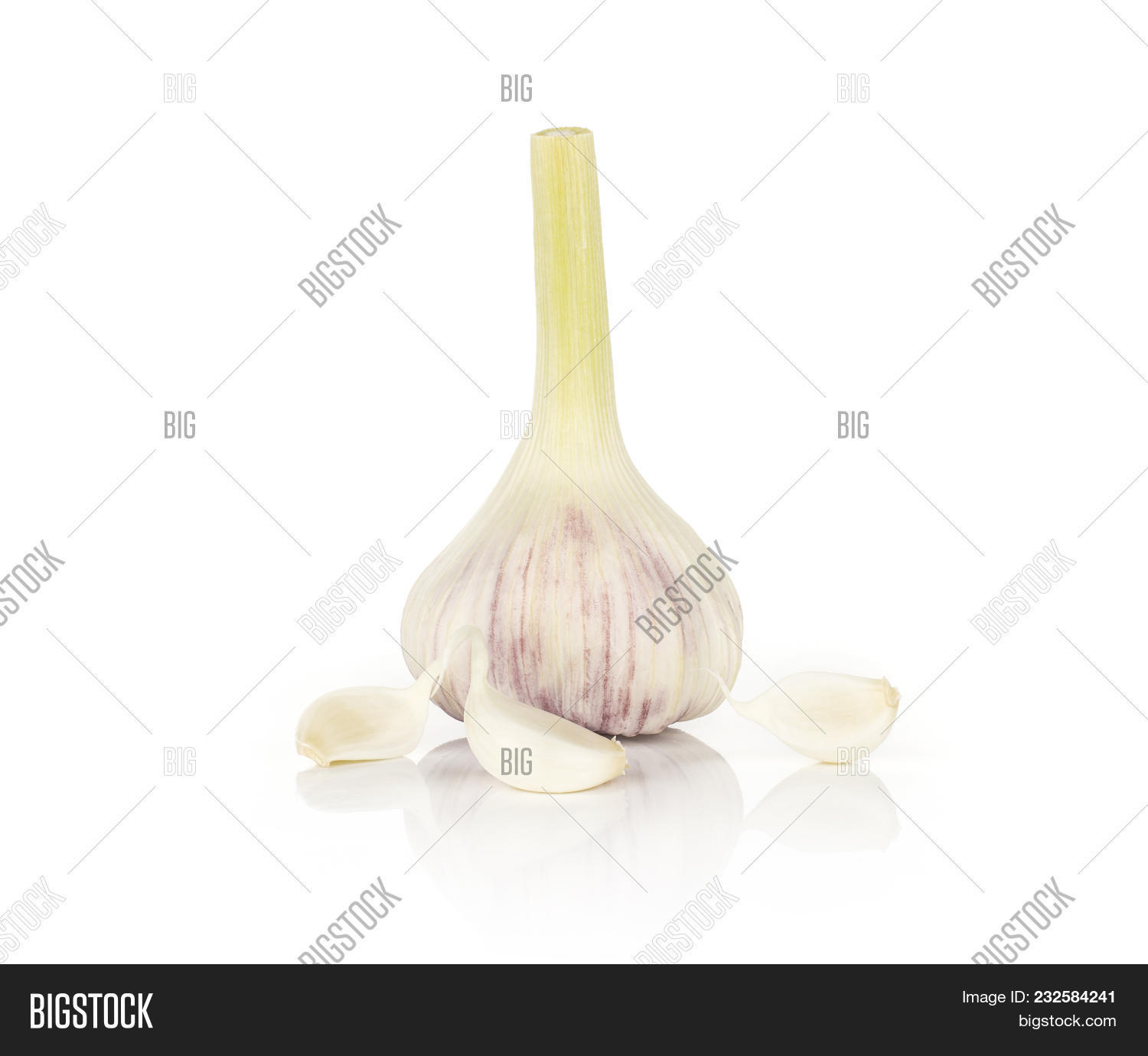 Young Garlic One Bulb Image & Photo (Free Trial) | Bigstock