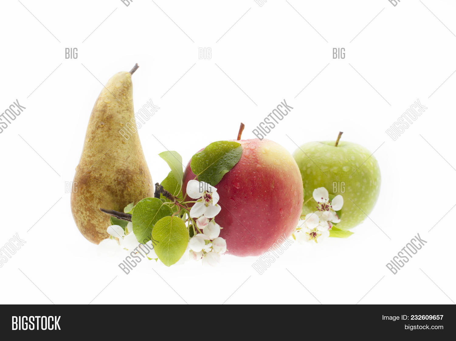 Apple Pear Tree . Image & Photo (Free Trial) | Bigstock