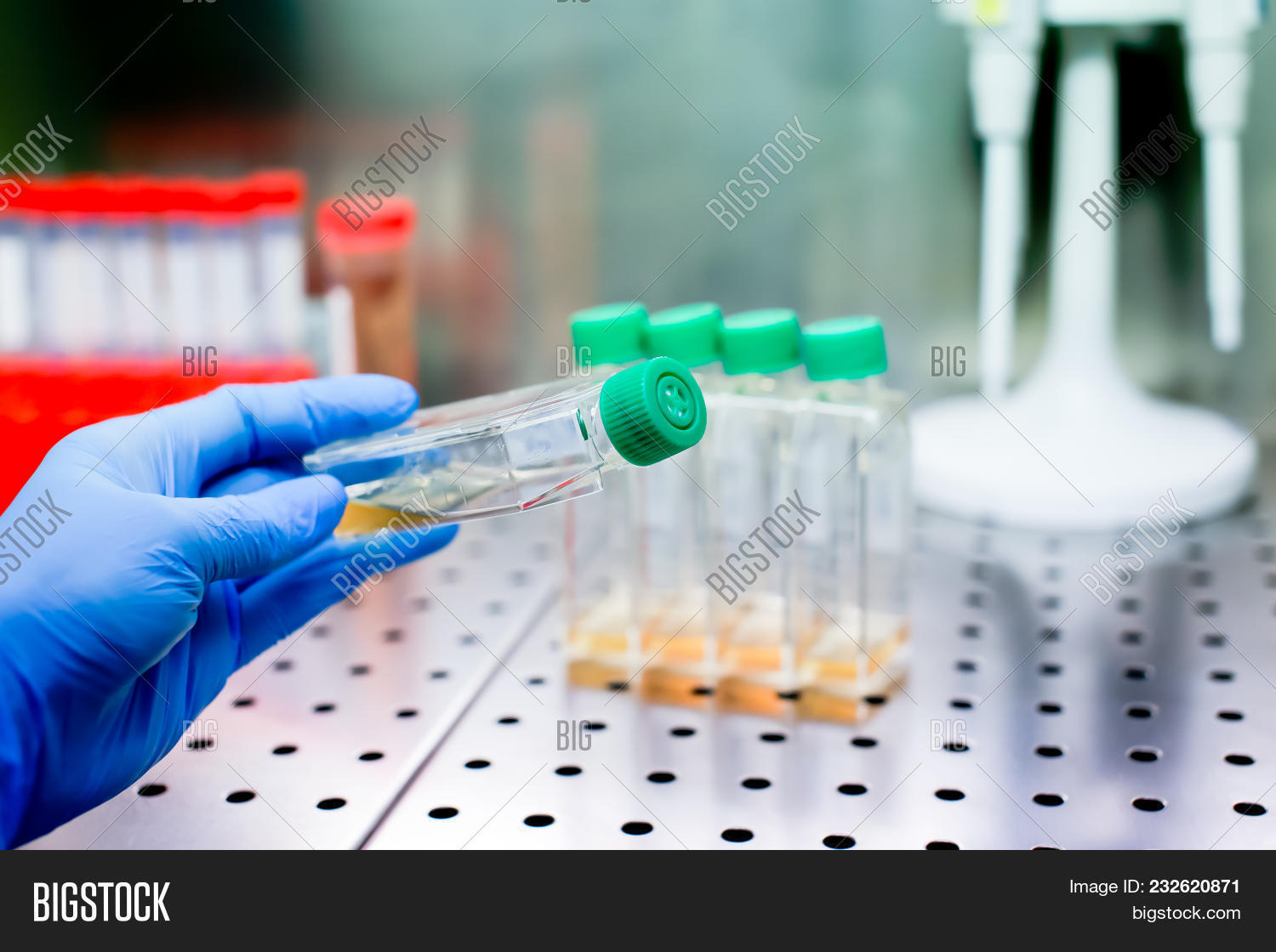 Hand Blue Glove Cell Image & Photo (Free Trial) | Bigstock