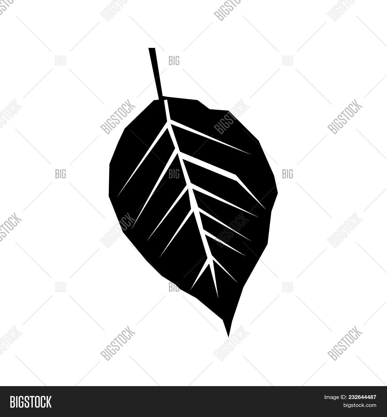 Leaf Icon Sign Image & Photo (Free Trial) | Bigstock