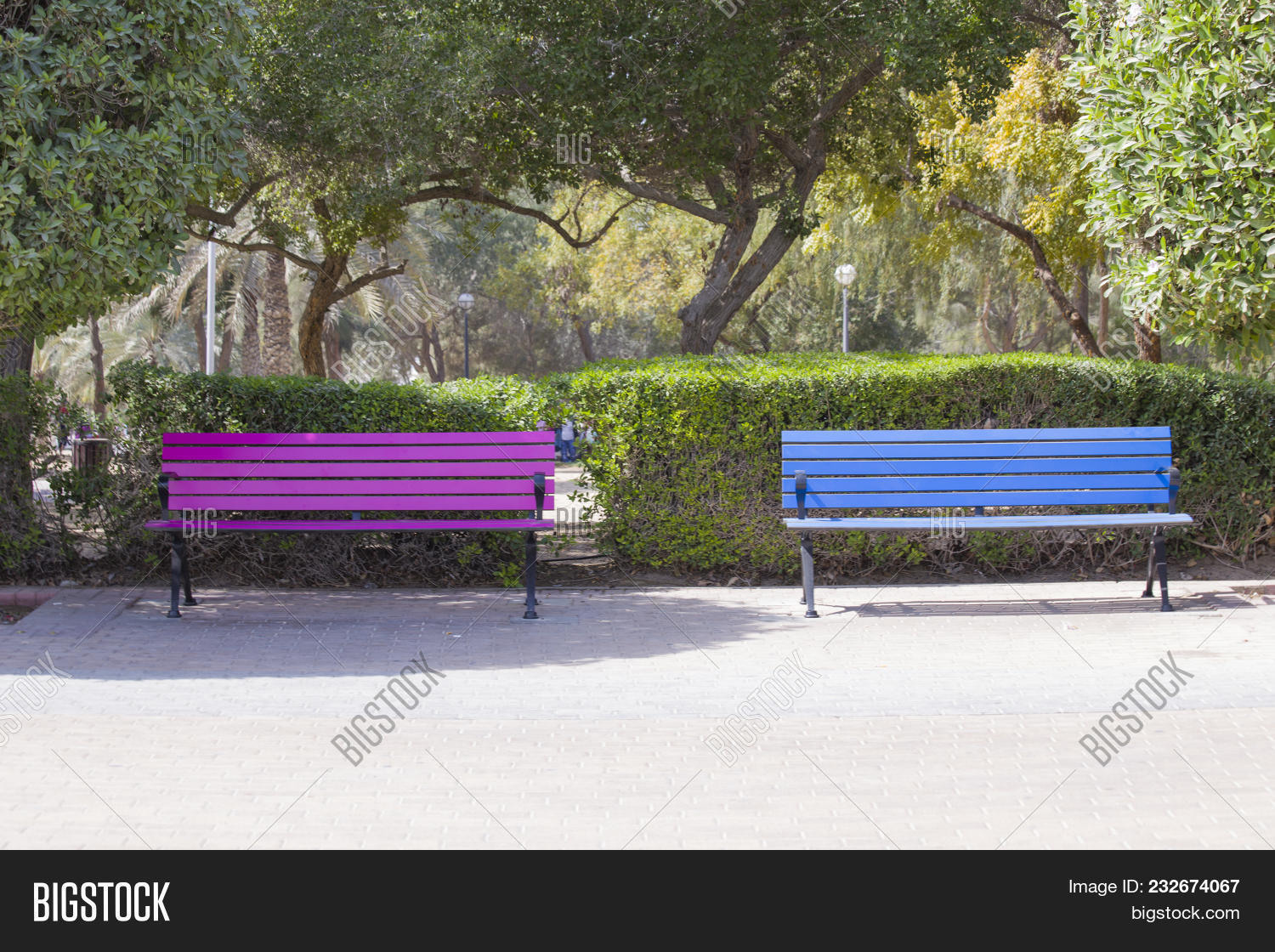 Two Colored Benches Image & Photo (Free Trial) | Bigstock
