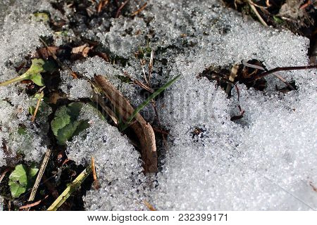 Closeup Photo Melting Image & Photo (Free Trial) | Bigstock