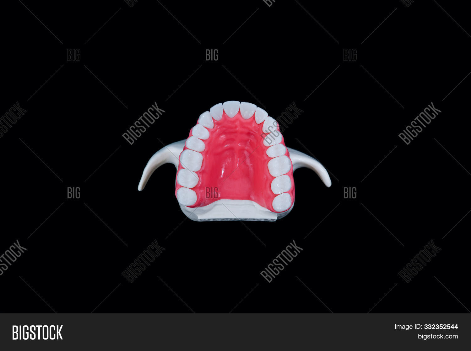 Upper Human Jaw Teeth Image & Photo (Free Trial) | Bigstock