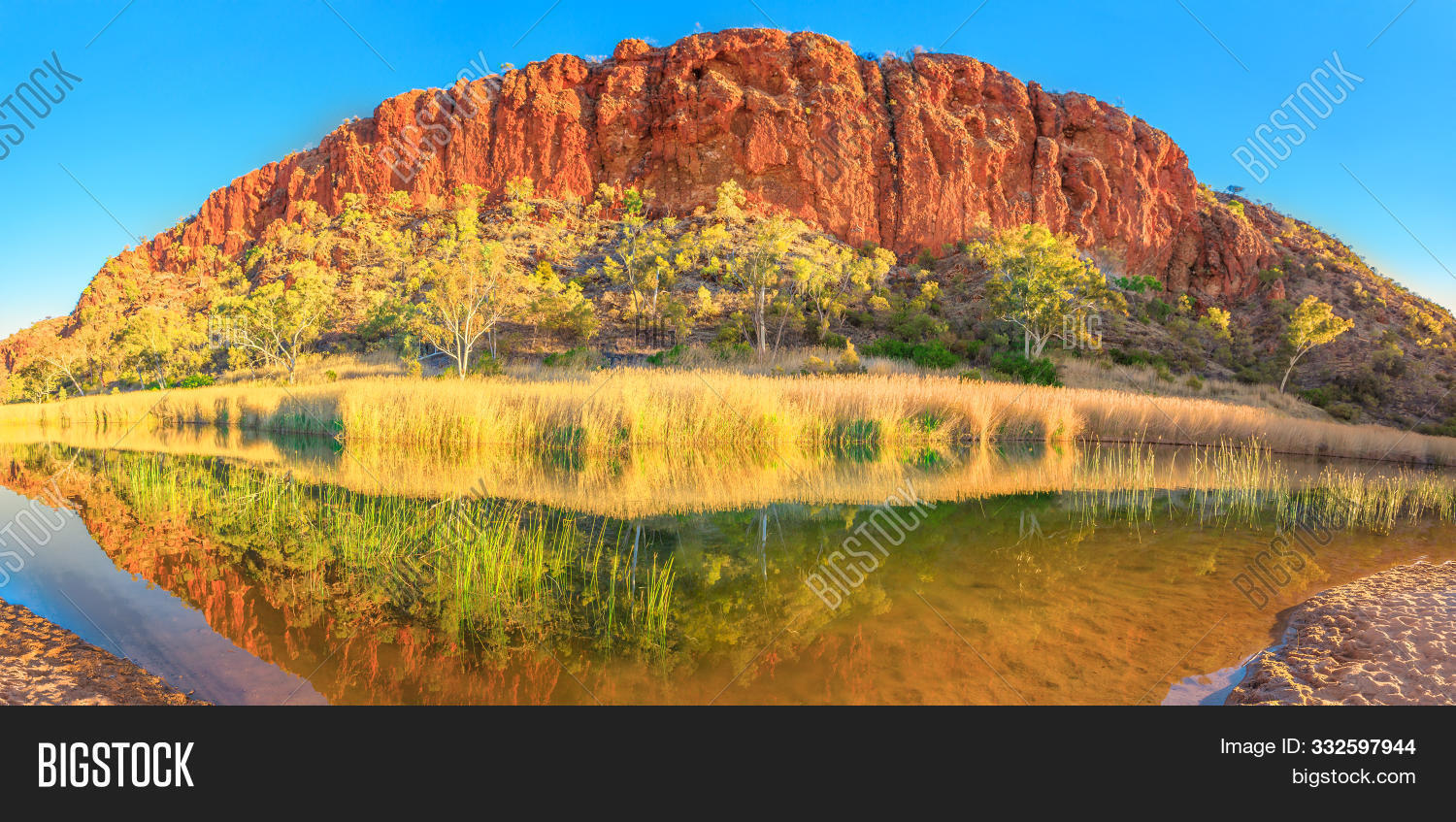Central Australian Image & Photo (Free Trial) | Bigstock
