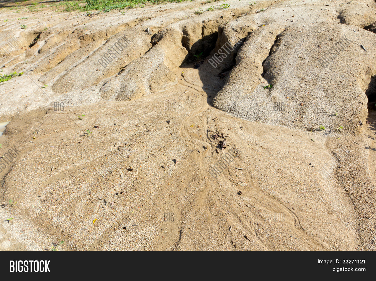 Soil Erosion By Overgrazing