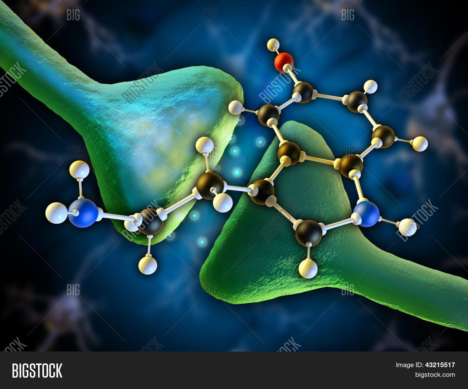 Serotonin Molecule Image & Photo (Free Trial) | Bigstock