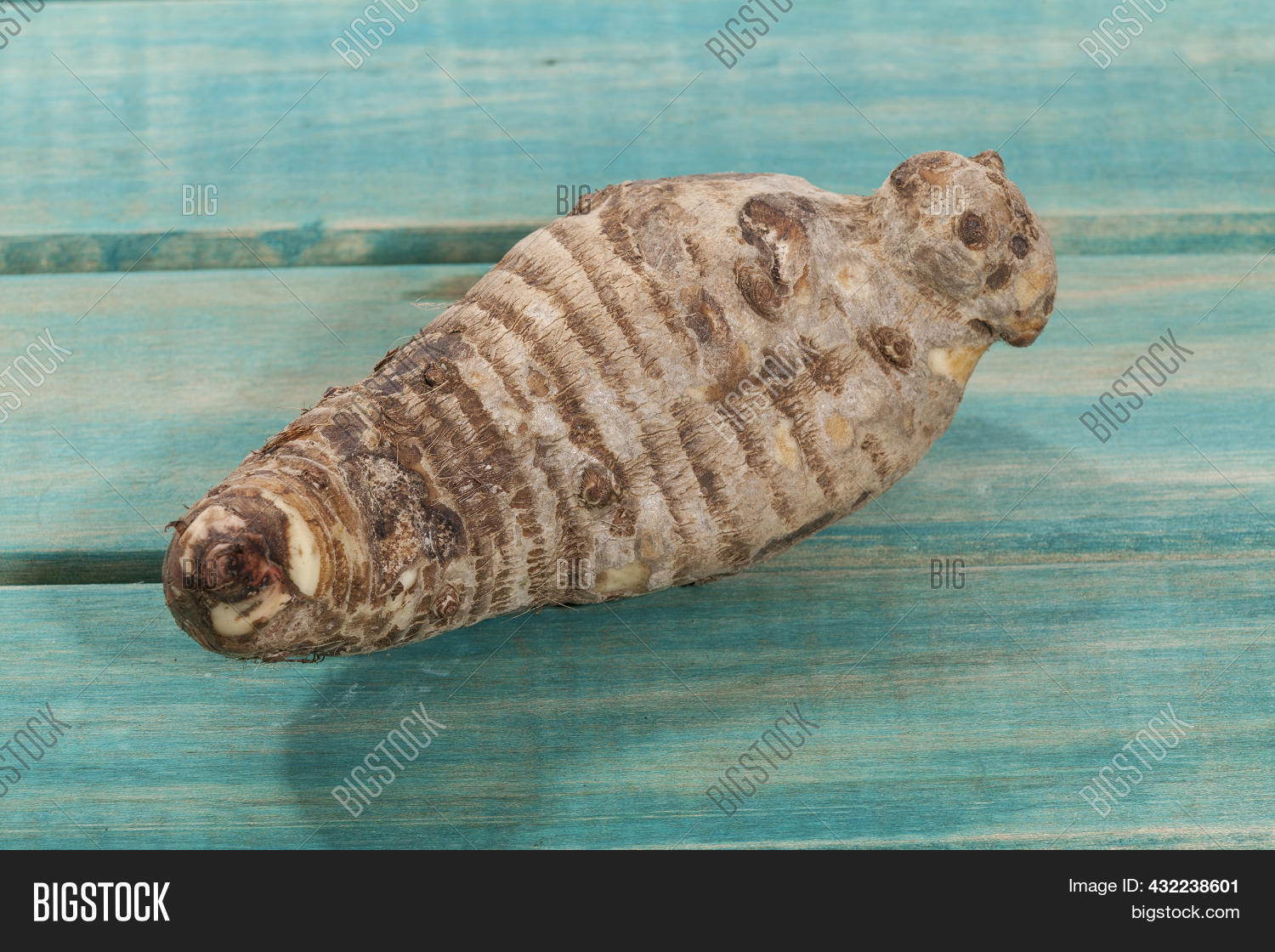 Malanga Edible Tuber Image & Photo (Free Trial) | Bigstock