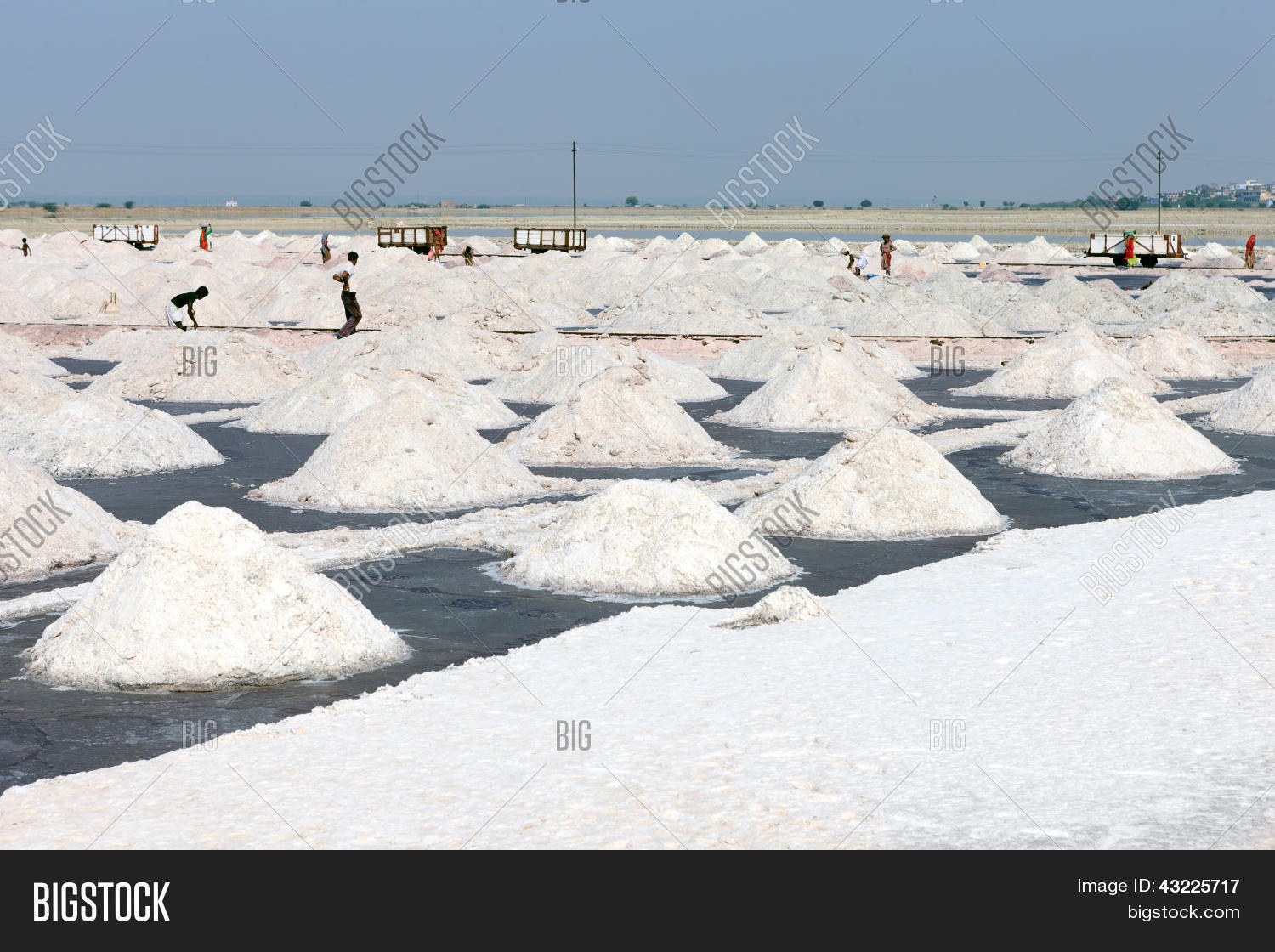 Salt Lake India