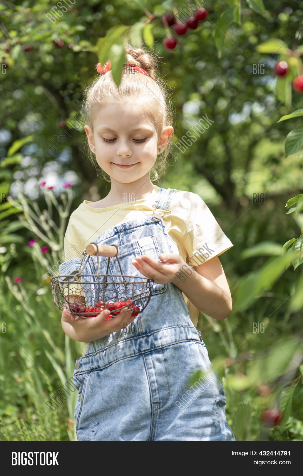 Little Girl Picking Image & Photo (Free Trial) | Bigstock