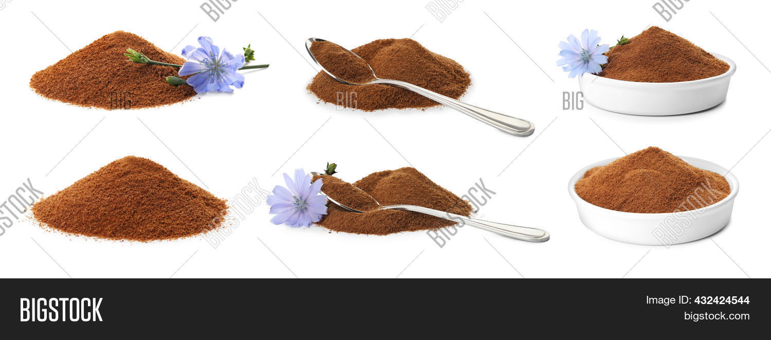 Set Chicory Powder On Image & Photo (Free Trial) | Bigstock