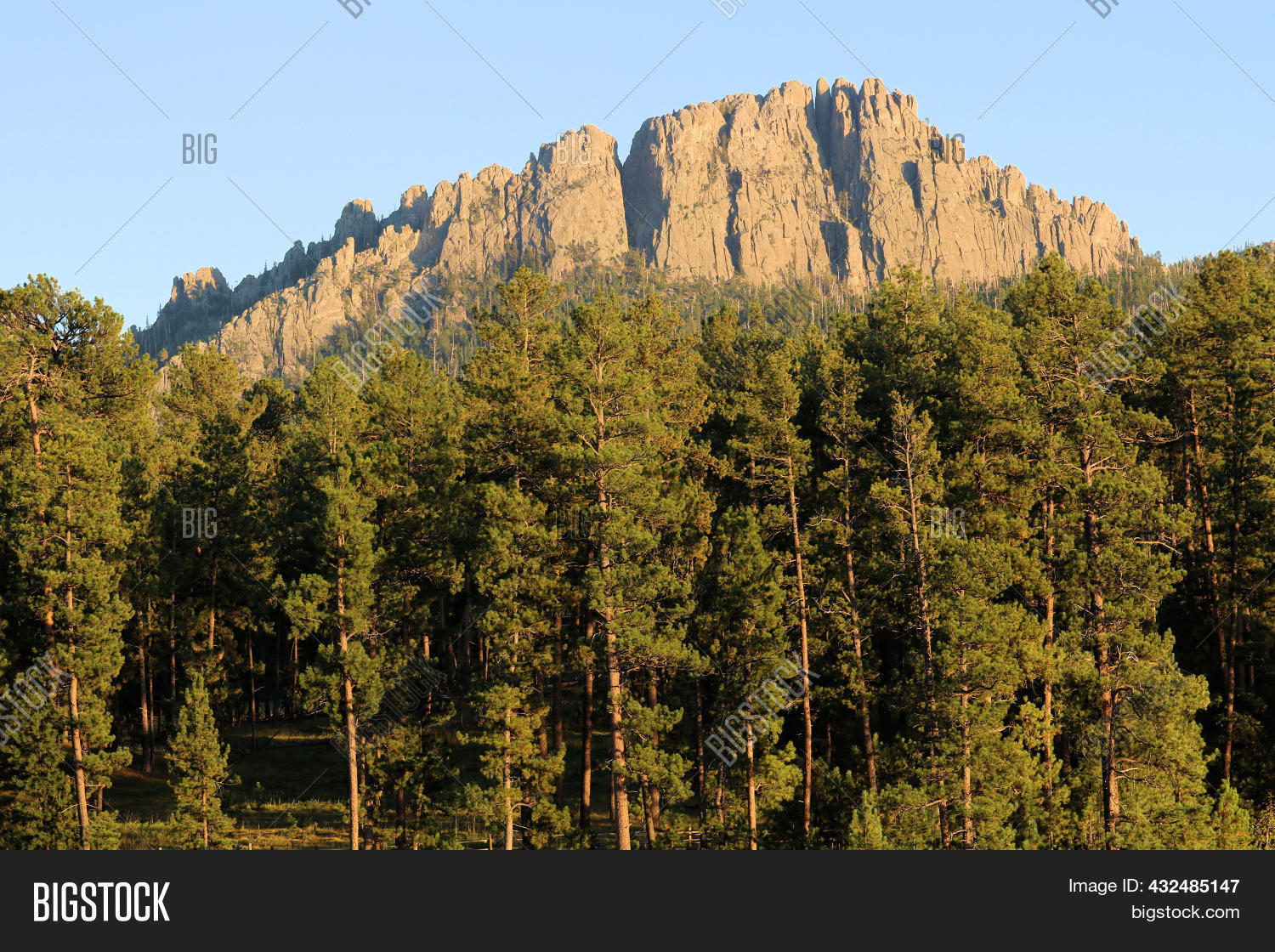 Lush Pine Trees Rugged Image & Photo (Free Trial) | Bigstock