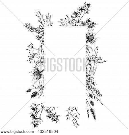 Wild Flowers Frame. Vector & Photo (Free Trial) | Bigstock