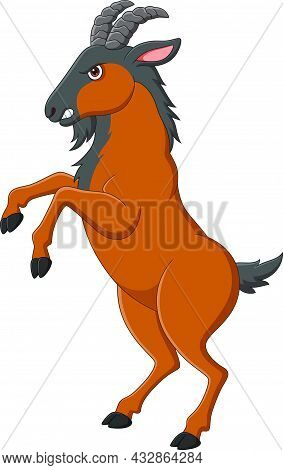 Vector Illustration Vector & Photo (Free Trial) | Bigstock