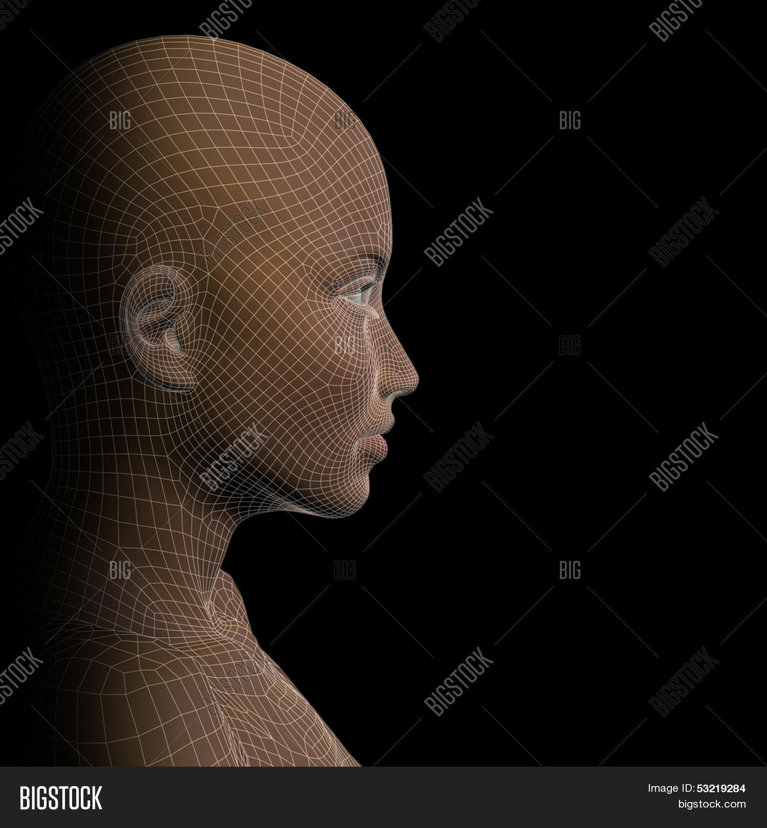 High Resolution Image & Photo (Free Trial) | Bigstock