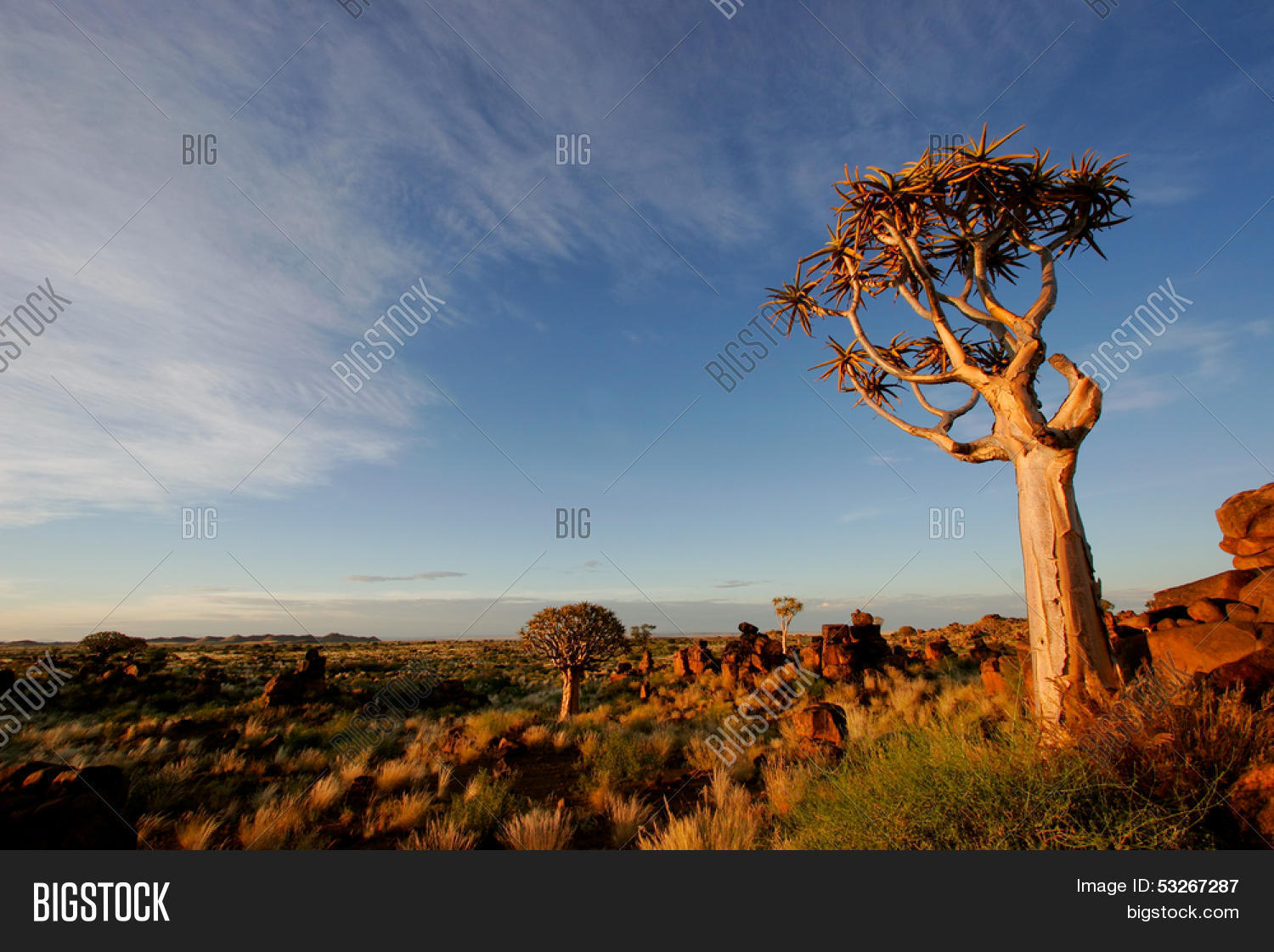 Desert Landscape Image & Photo (Free Trial) | Bigstock