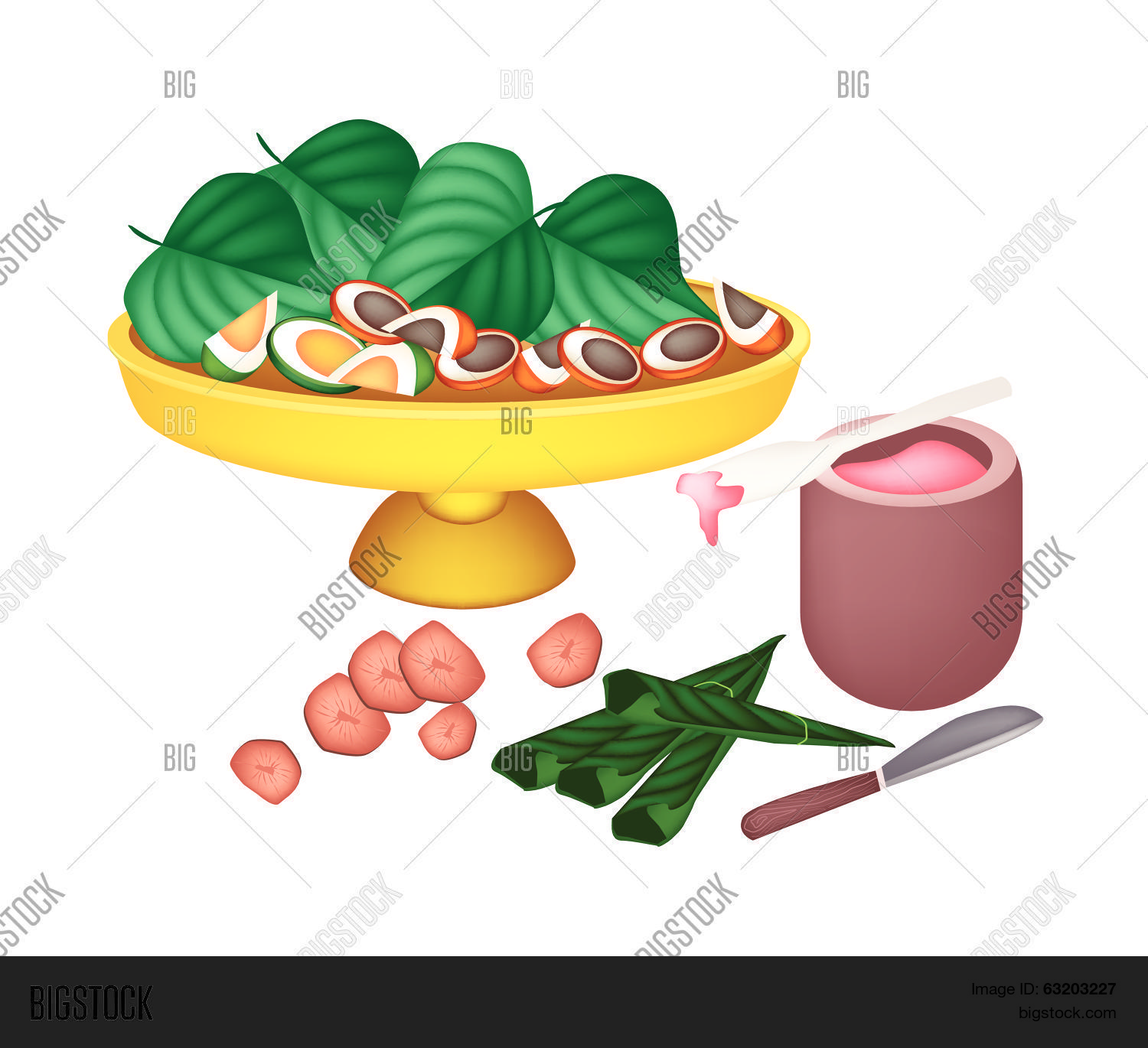 Ripe Areca Nuts Betel Vector & Photo (Free Trial) | Bigstock