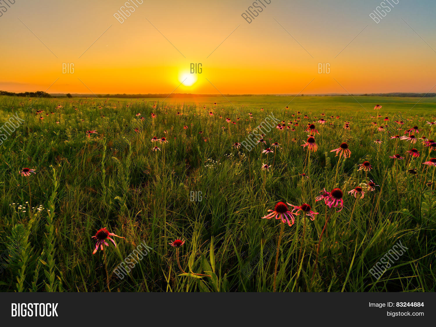 Sunset Prairie Field Image & Photo (Free Trial) | Bigstock