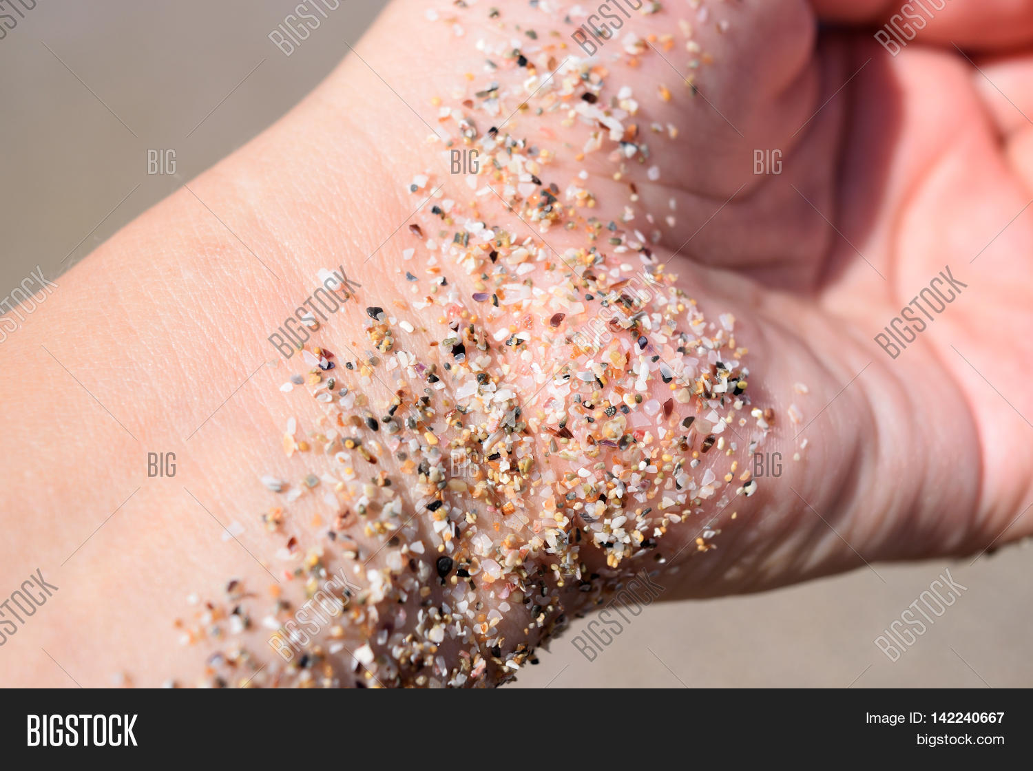 Shelly Sand Small Image & Photo (Free Trial) | Bigstock