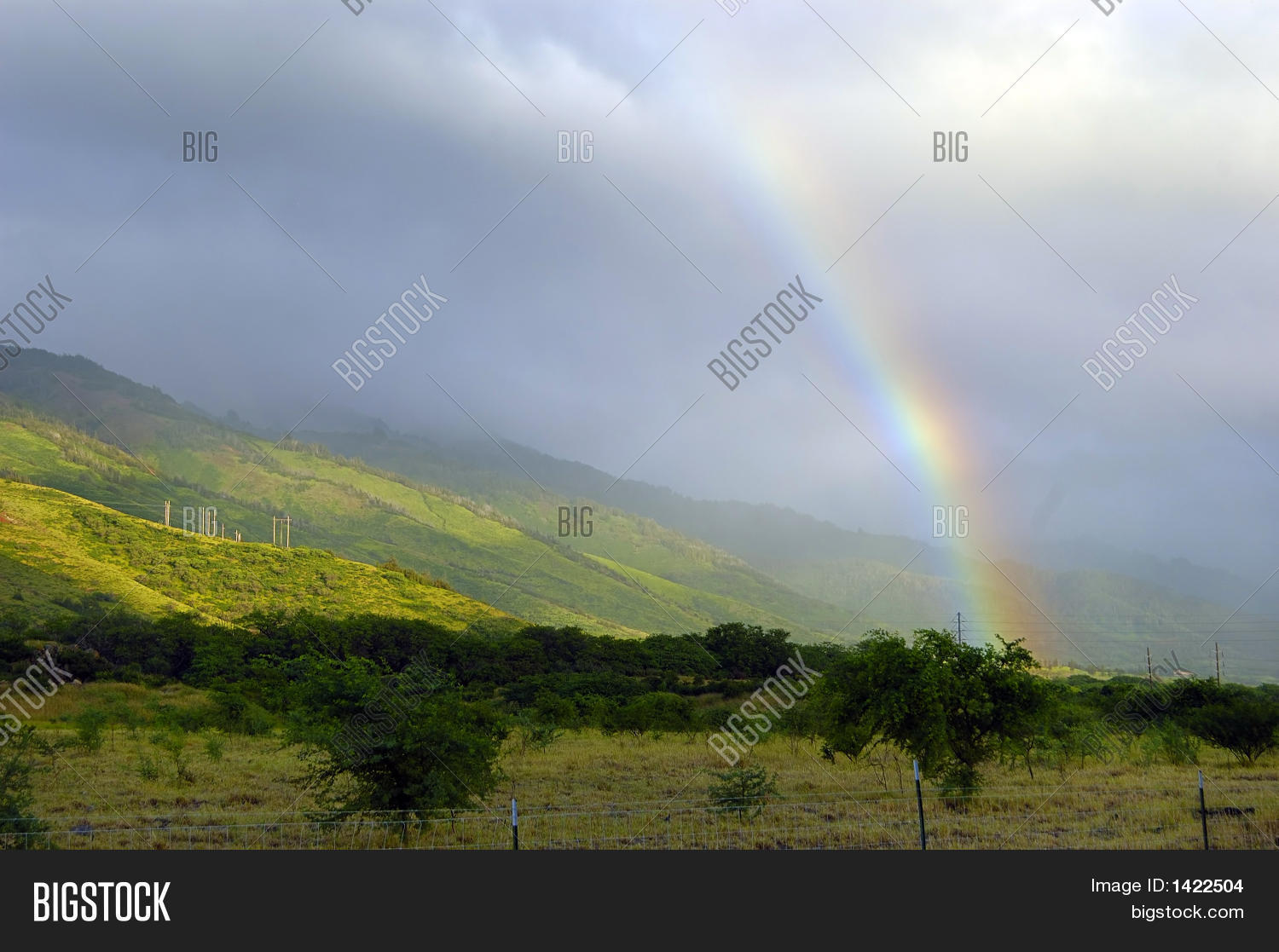 Tropical Rainbow Image & Photo (Free Trial) | Bigstock