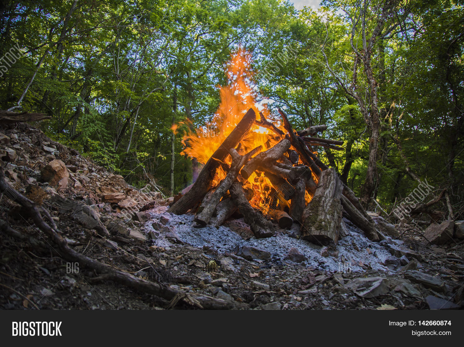 Wind Blowing On Image & Photo (Free Trial) | Bigstock