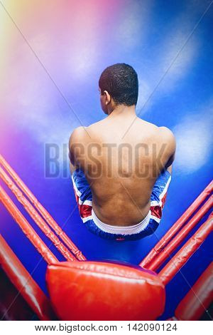 Back View Portrait Image & Photo (Free Trial) | Bigstock