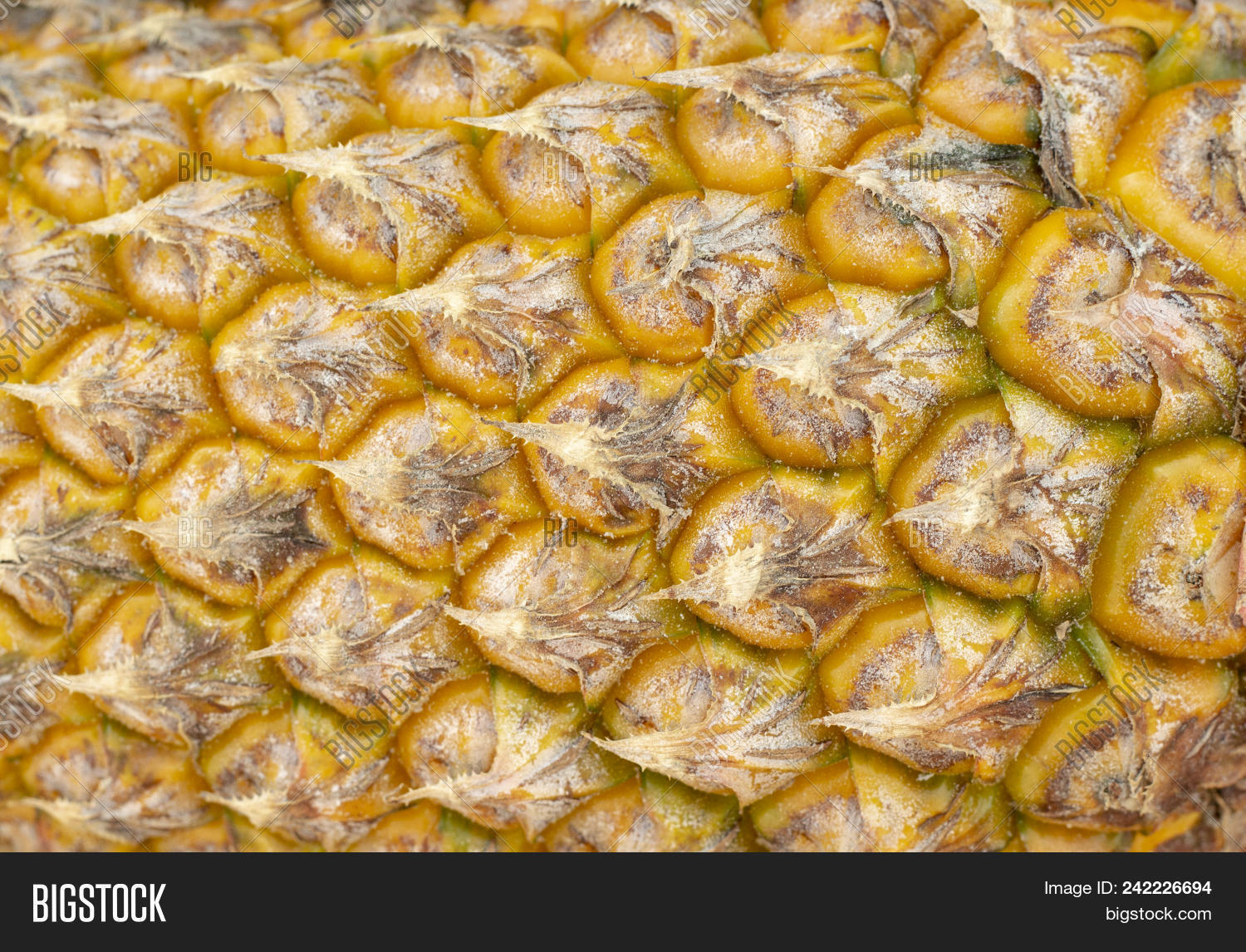 Ripe Yellow Pineapple Image & Photo (Free Trial) | Bigstock