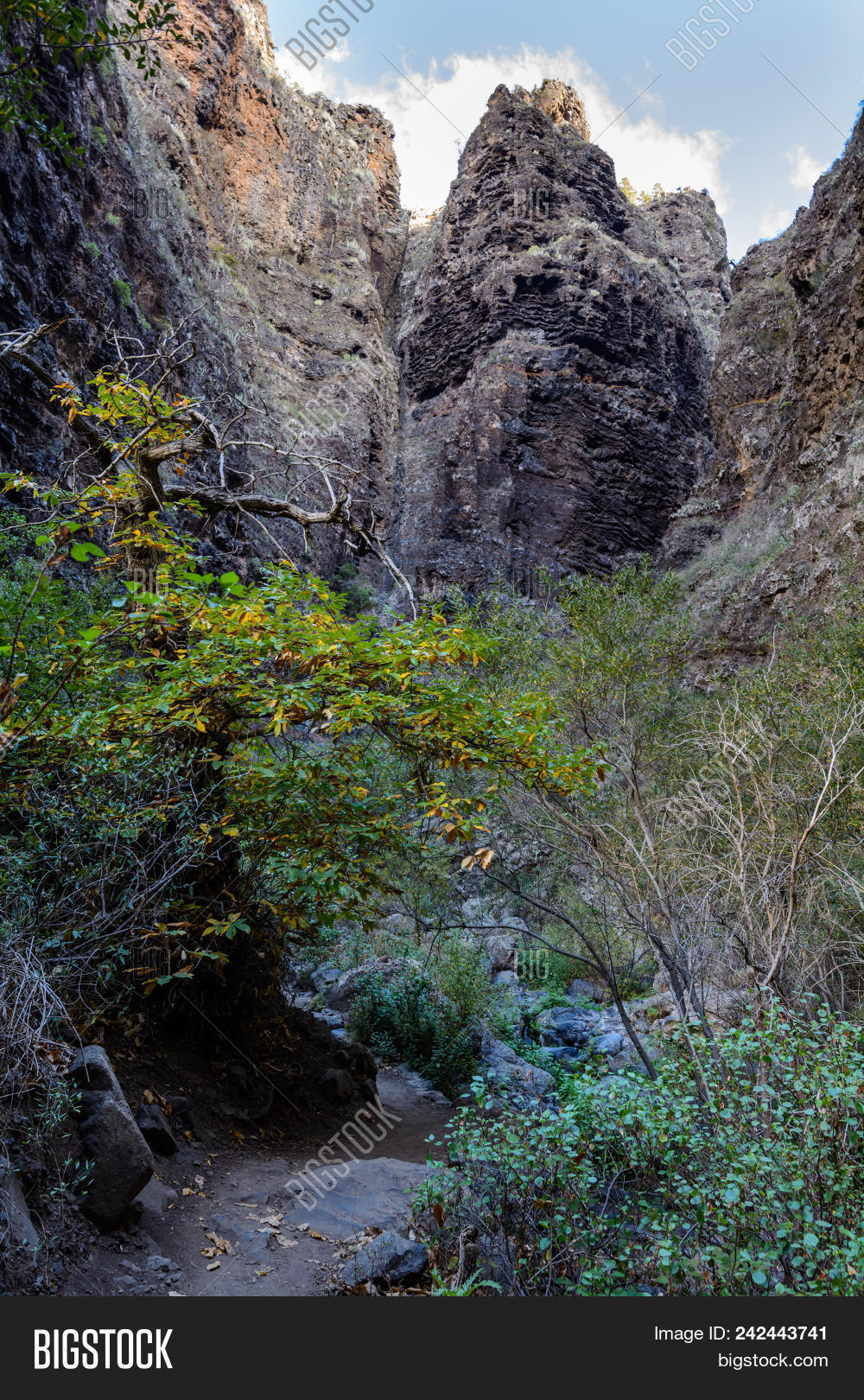 Barranco Del Infierno Image & Photo (Free Trial) | Bigstock