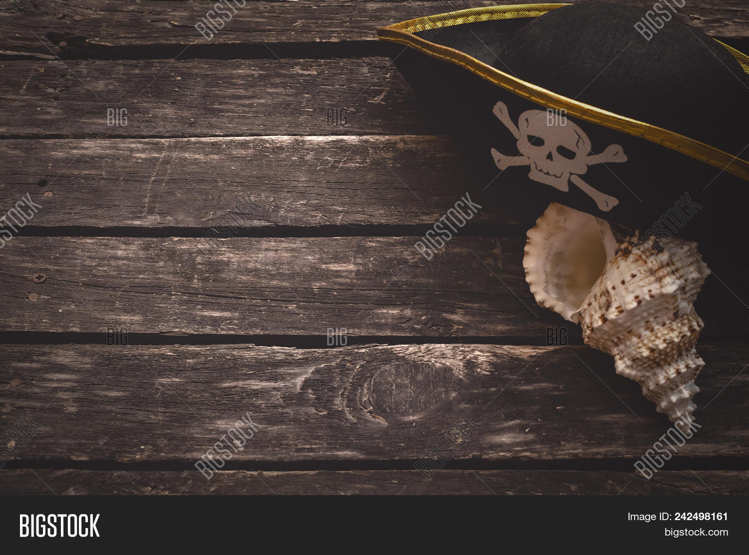 Pirate Captain Table Image & Photo (Free Trial) | Bigstock