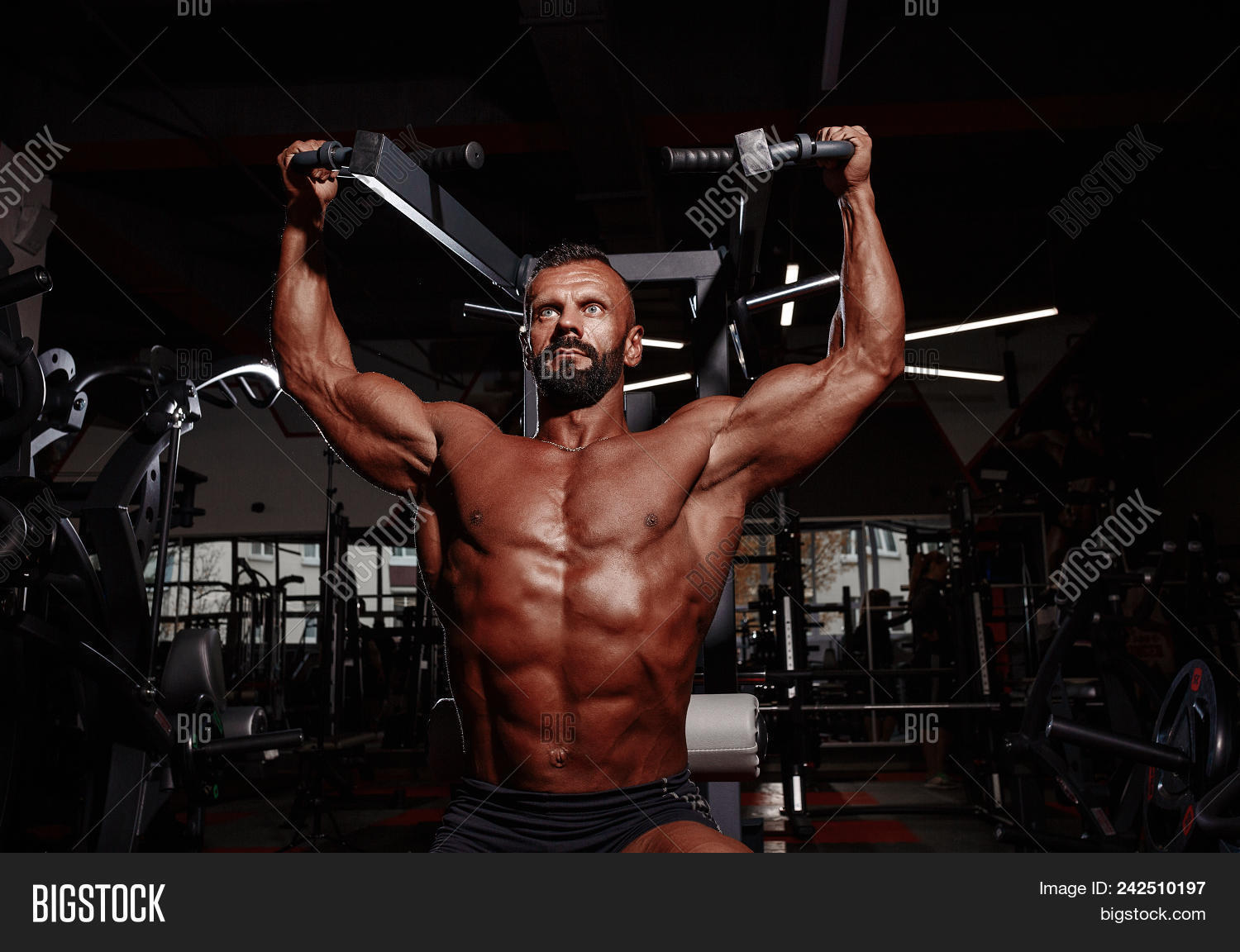 Chest Press. Handsome Image & Photo (Free Trial) | Bigstock