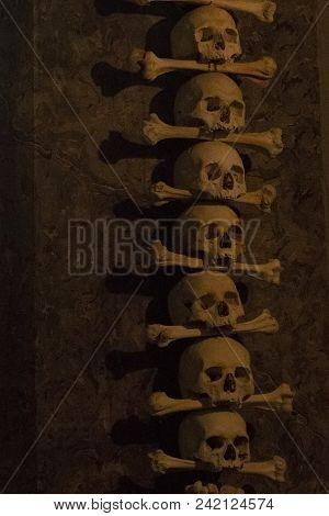 Old Human Skull Bones Image & Photo (Free Trial) | Bigstock