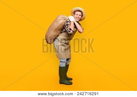 Produce Market Image & Photo (Free Trial) | Bigstock