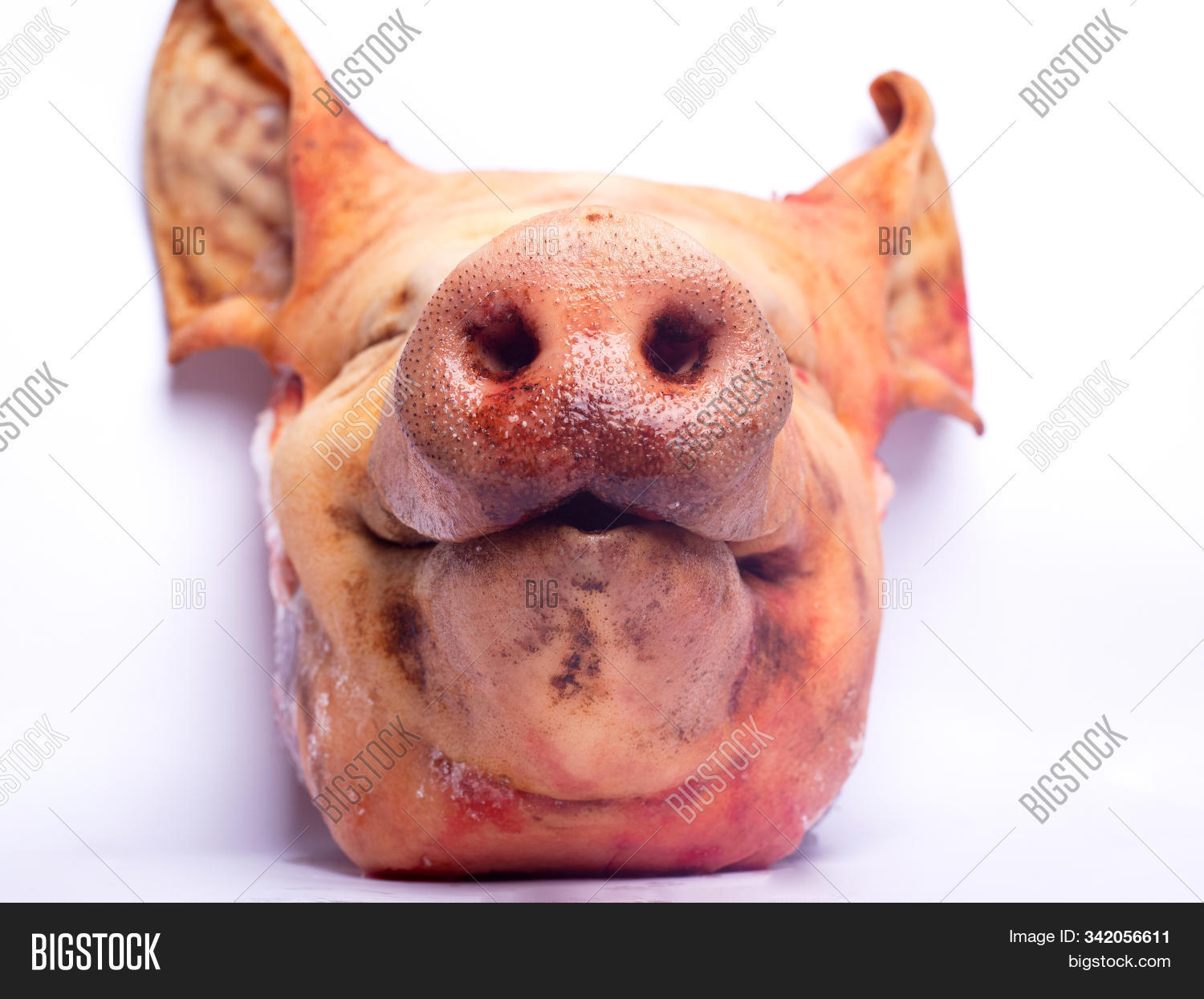 Chopped Pork Head Image & Photo (Free Trial) | Bigstock
