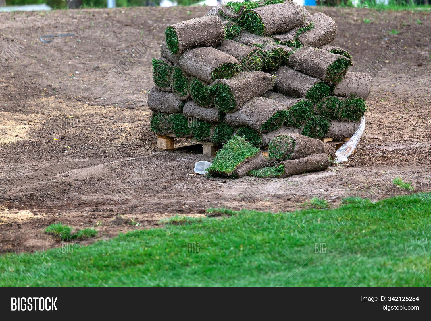 Rolls Lawn Folded Image & Photo (Free Trial) | Bigstock