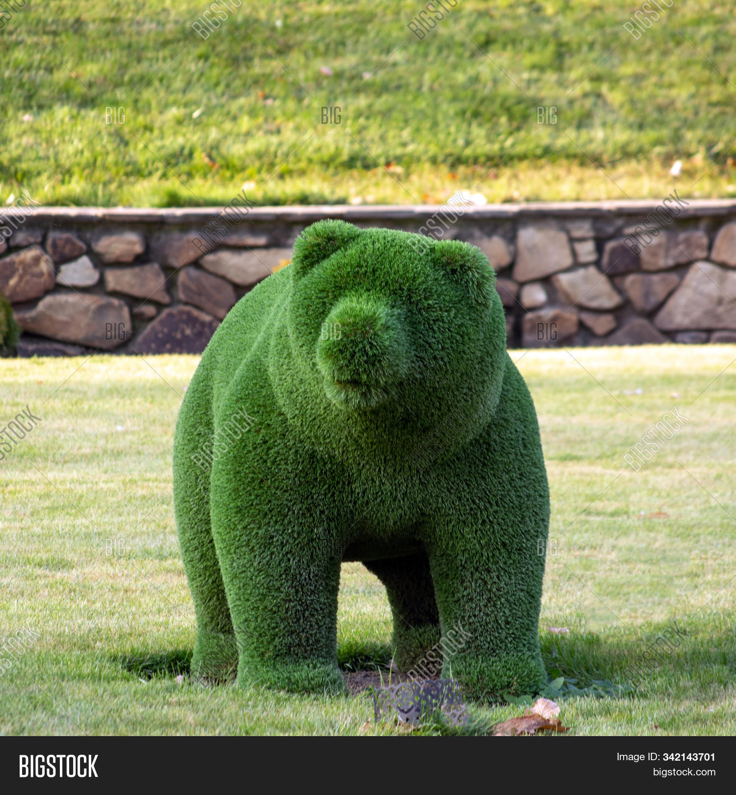 Topiary Sculpture Bear Image & Photo (Free Trial) | Bigstock