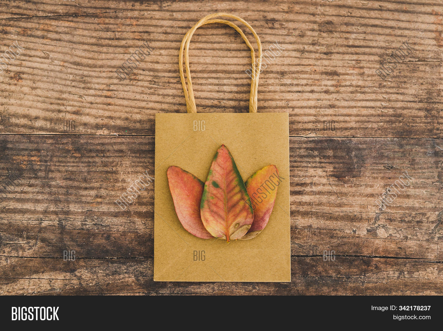 Paper Bags Leaves On Image & Photo (Free Trial) | Bigstock
