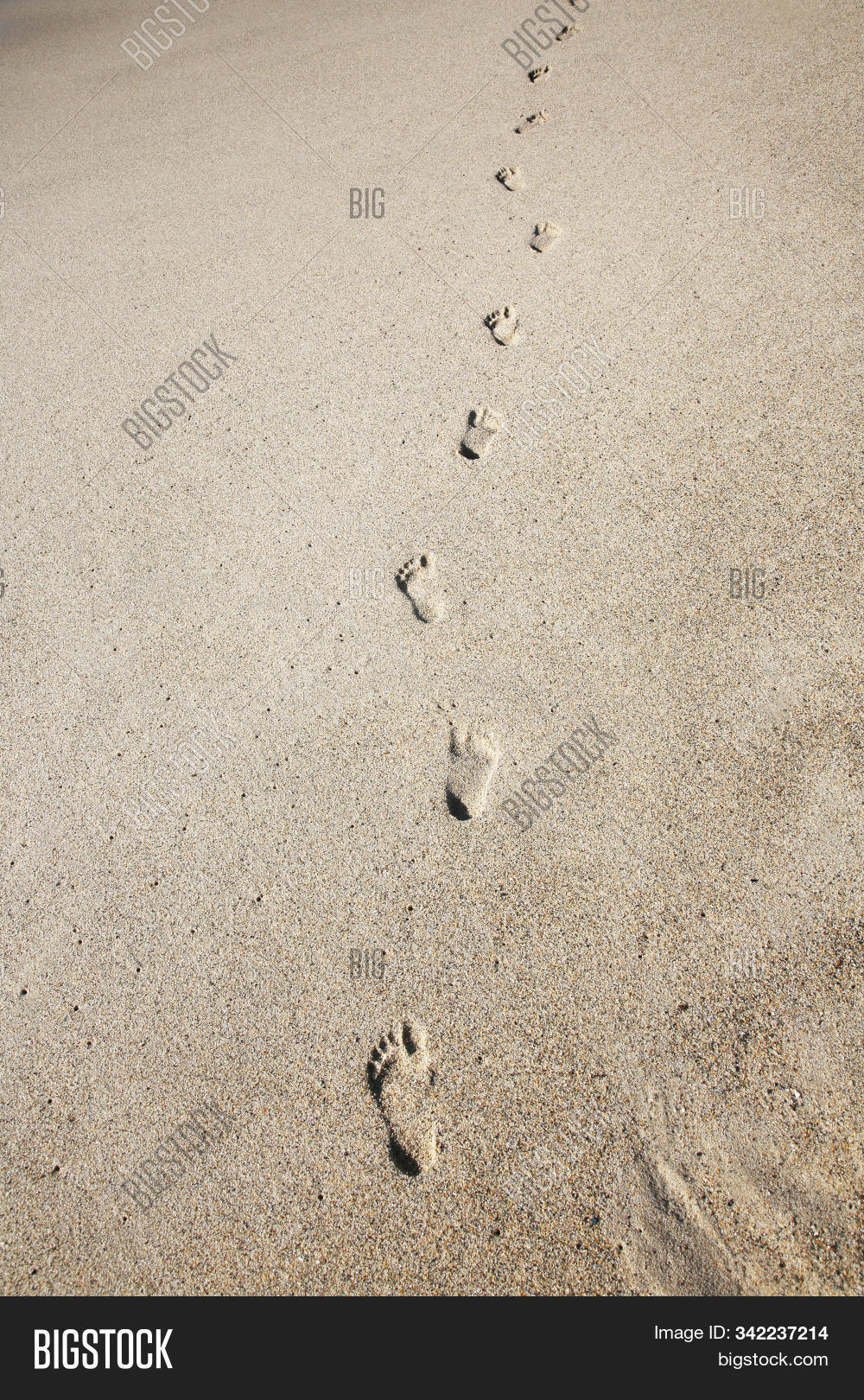 Footsteps On Beach. Image & Photo (Free Trial) | Bigstock