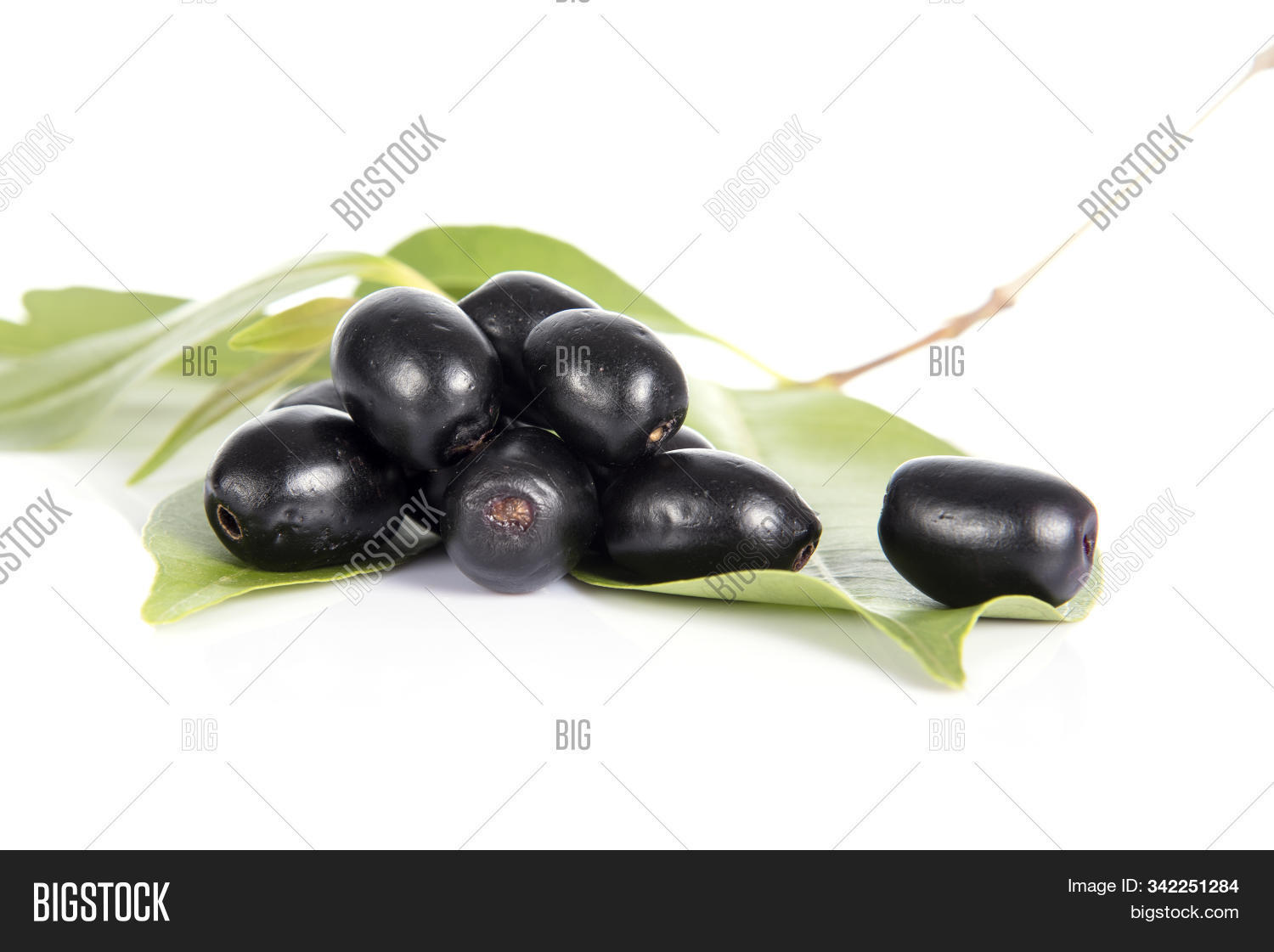 Jambolan Plum Java Image & Photo (Free Trial) | Bigstock