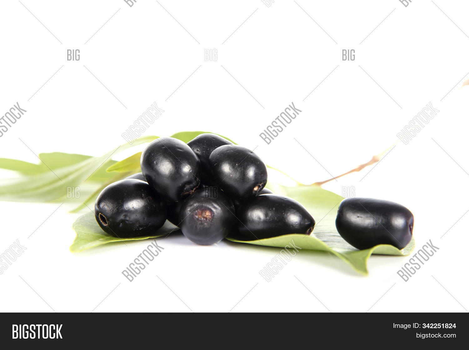 Jambolan Plum Java Image & Photo (Free Trial) | Bigstock